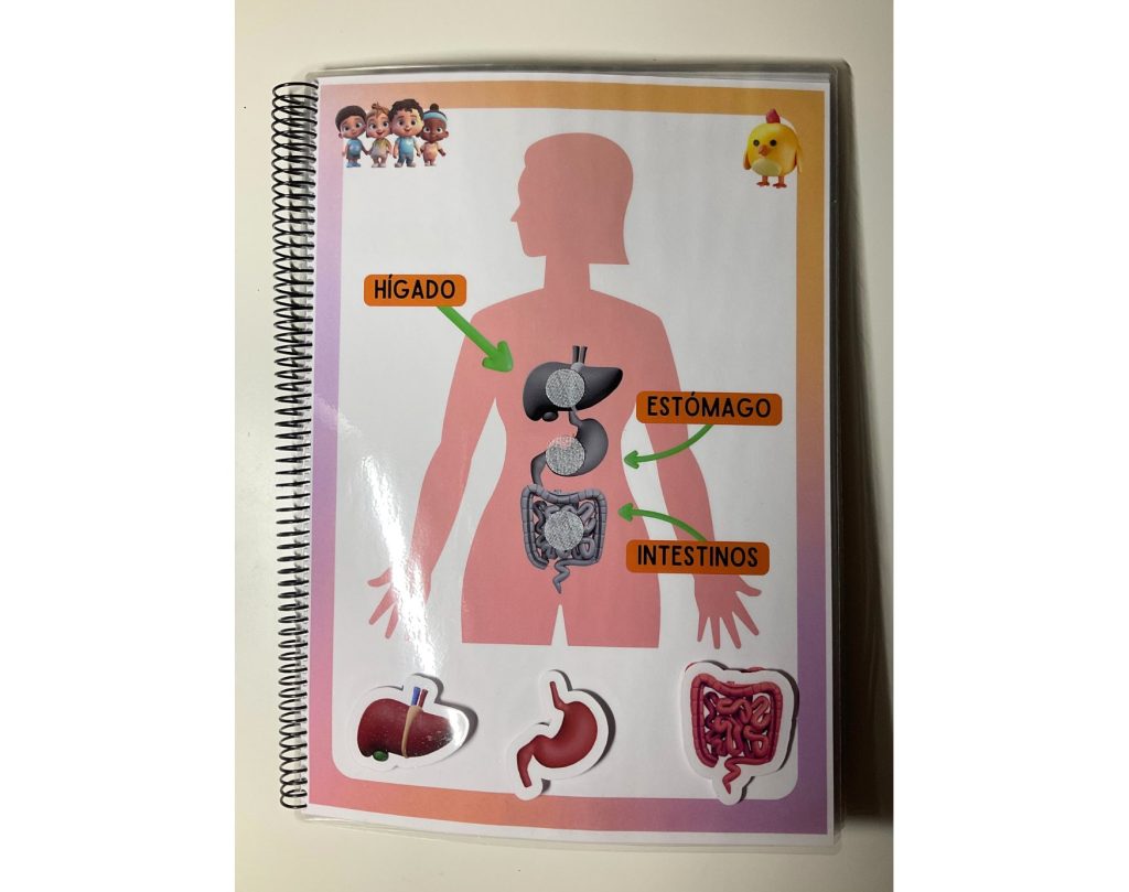 Cuadernillo El cuerpo Humano 2 – Diverminis