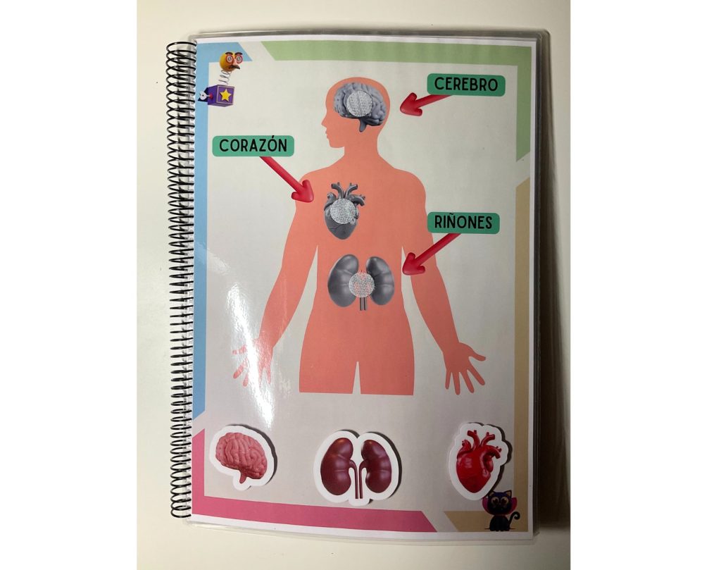 Cuadernillo El cuerpo Humano 2 – Diverminis